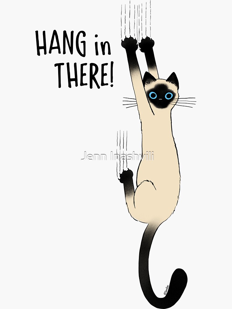 "Siamese Cat Hang in There! Funny Cat Hanging On With Claws" Sticker ...
