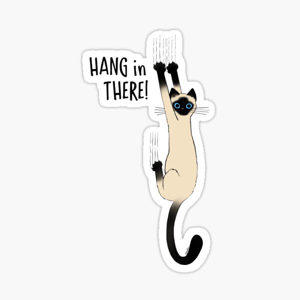 "Siamese Cat Hang in There! Funny Cat Hanging On With Claws" Sticker ...