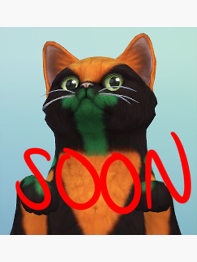 "Soon Cat" Sticker for Sale by Bee-in-a-Cup | Redbubble