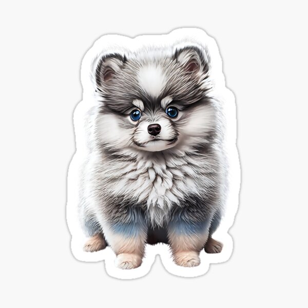 "Cute blue-eyed pomsky puppy digital art drawing for printables ...