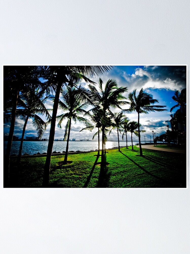 "Good Morning Miami " Poster for Sale by Eyecbeauty | Redbubble