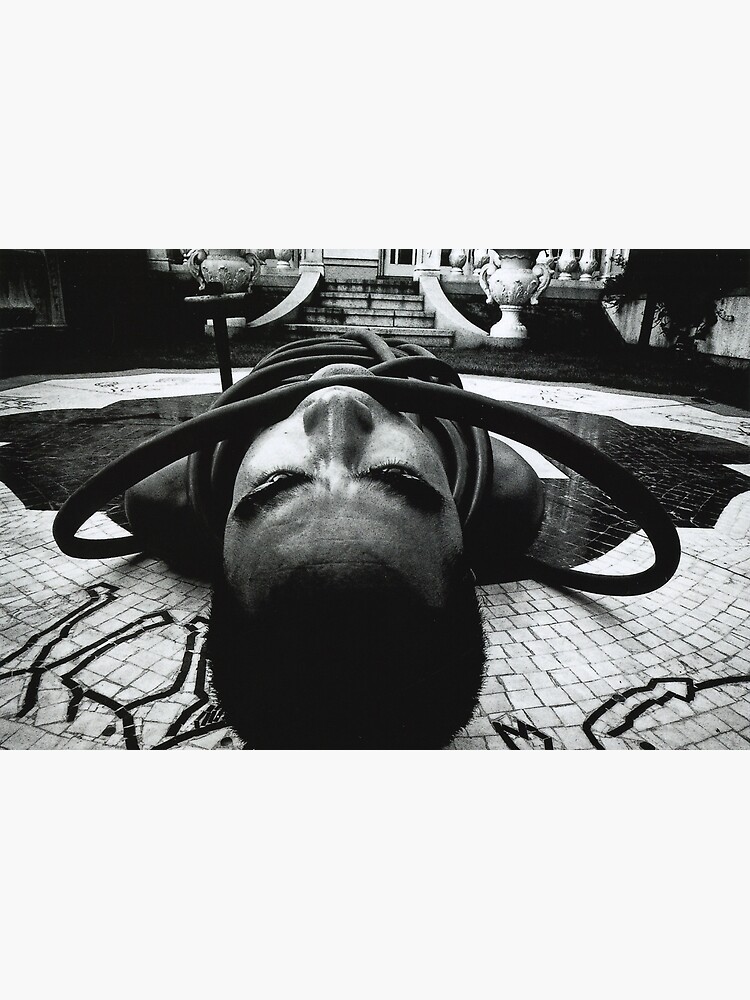 "Yukio Mishima Ordeal by Roses" Poster for Sale by spooknik | Redbubble