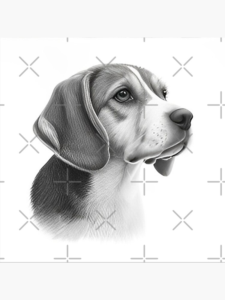"Beagle pencil drawing" Art Board Print for Sale by Pencil-Art | Redbubble