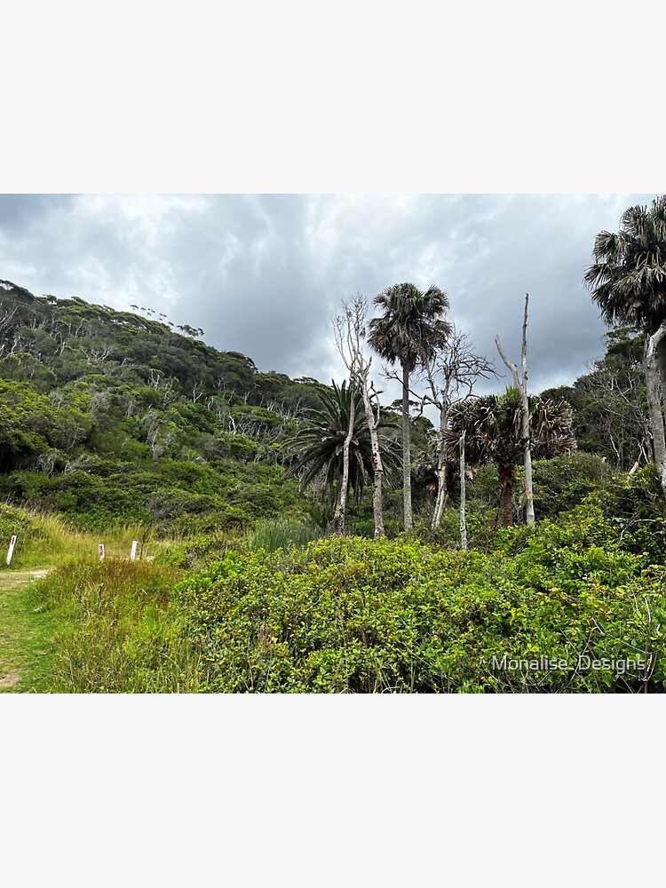 "Hiking through Winnie Bay Collection | 5" Sticker for Sale by Monalise ...