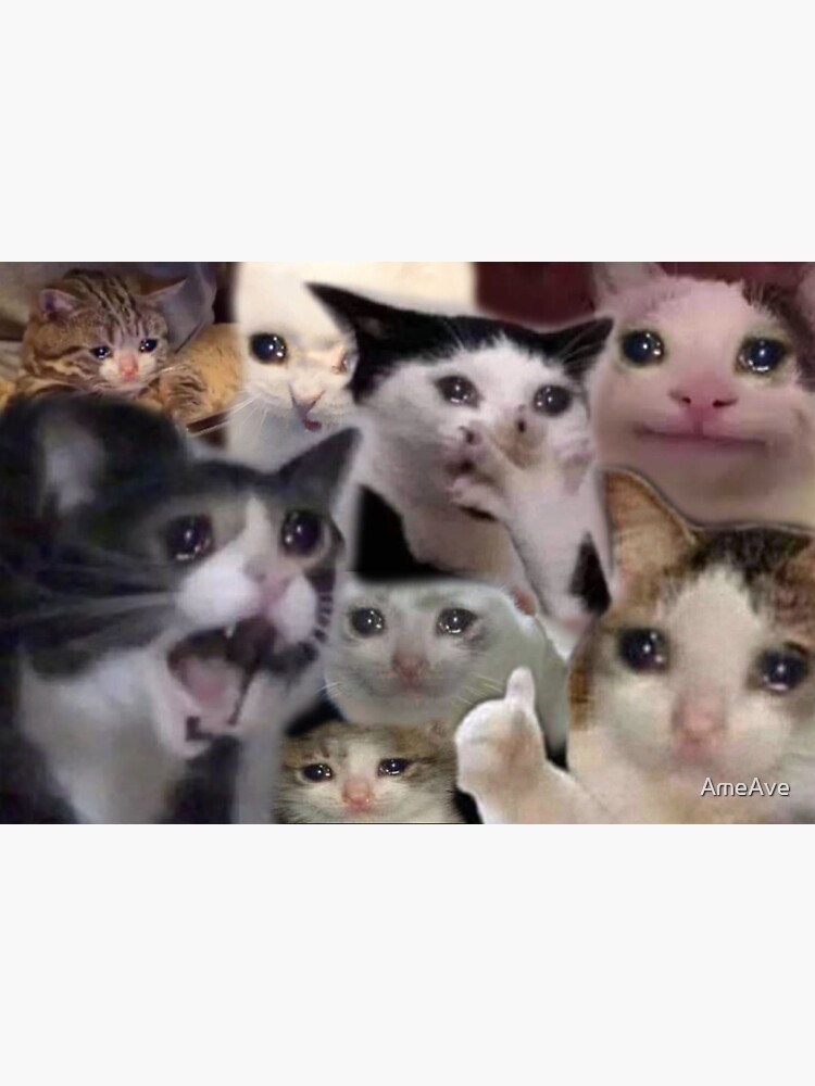 "Iconic crying cat meme collage" Sticker for Sale by AmeAve | Redbubble