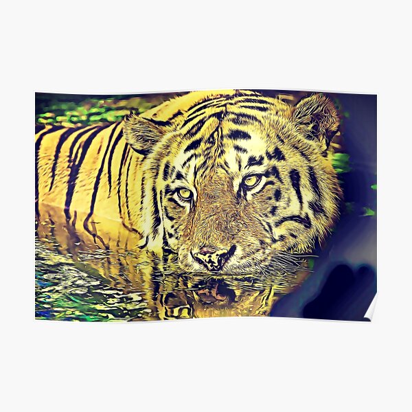 "Wild bengal tiger animal in the water painting" Poster for Sale by ...