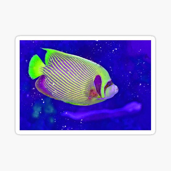 "Angelfish Watercolour Painting Art" Sticker for Sale by getlyart ...