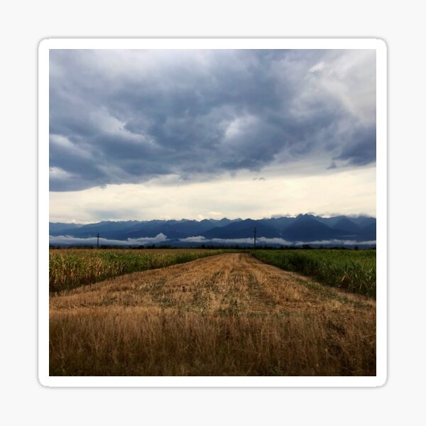 "Path" Sticker for Sale by SpaceboxX | Redbubble