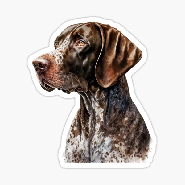 "German Shorthaired Pointer" Sticker for Sale by Wall-Art-Design ...