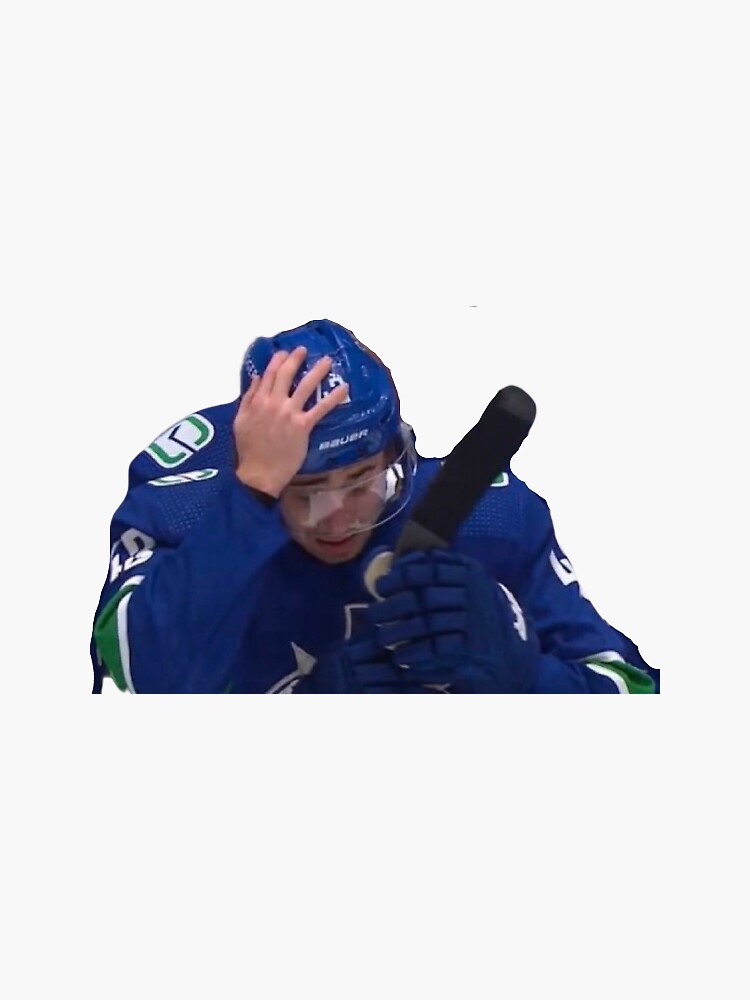 "quinn hughes panicked" Sticker for Sale by goaliecatdesign | Redbubble