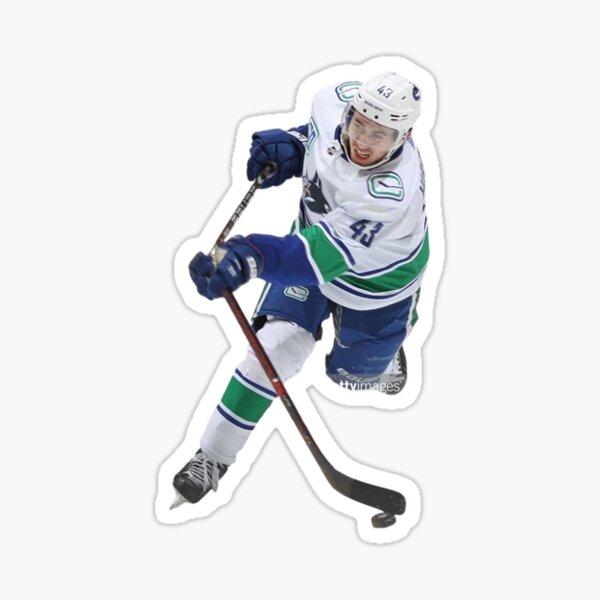 "quinn hughes bendy stick" Sticker for Sale by goaliecatdesign | Redbubble