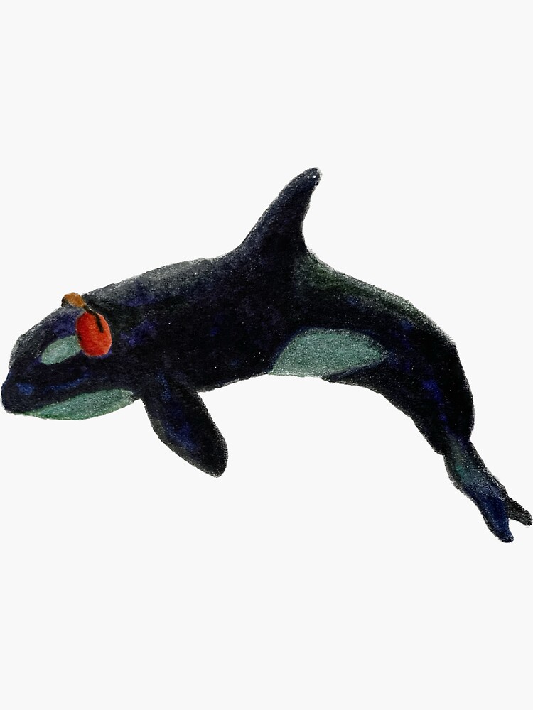 "traditional orca whale with ear defenders" Sticker for Sale by ...