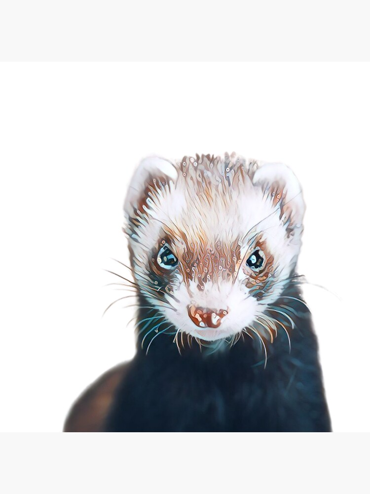 "Cute Ferret Face Art Print - For a ferret lover, for a ferret owner ...