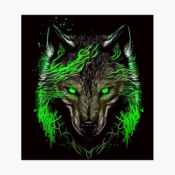 Green Wolf Eyes Wolf Vestigt Zich Ook In Drenthe En Mogelijk