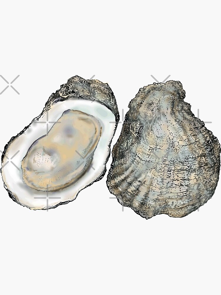 "Oysters" Sticker for Sale by dusie | Redbubble