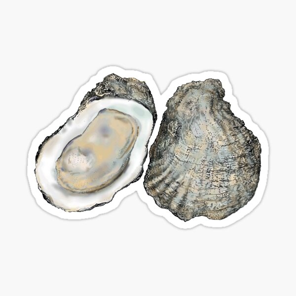 "Oysters" Sticker for Sale by dusie | Redbubble