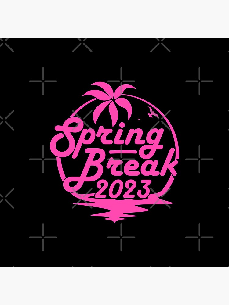 "Spring Break 2023, Vacation, family matching, 2023 spring break, Vacay ...