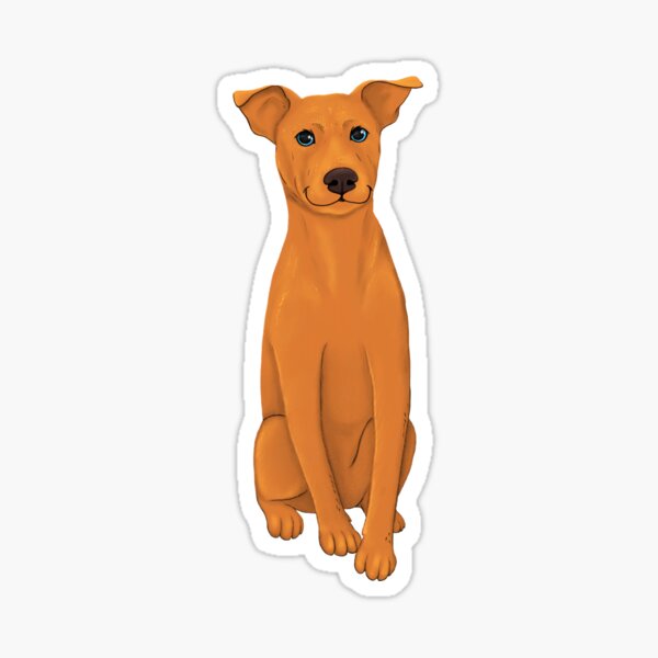 "Cute orange brown staffy dog illustration" Sticker for Sale by ...