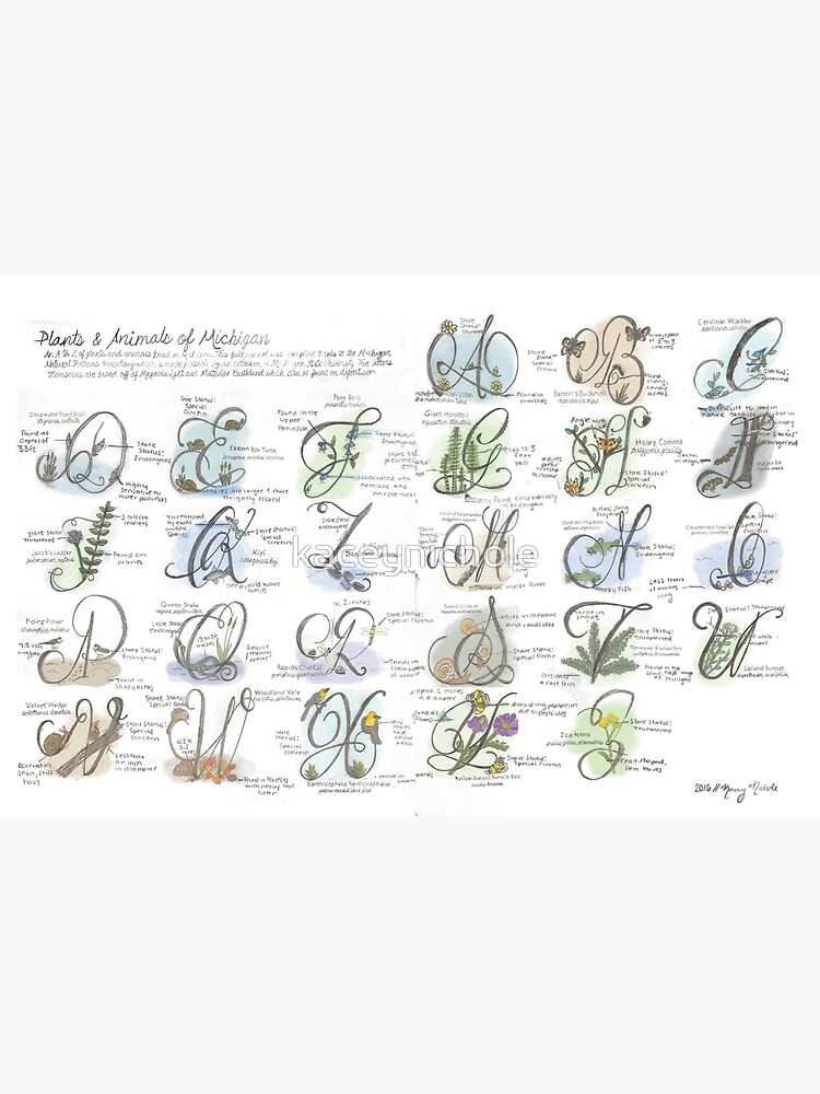 "Michigan Alphabet" Poster for Sale by kaceynichole | Redbubble