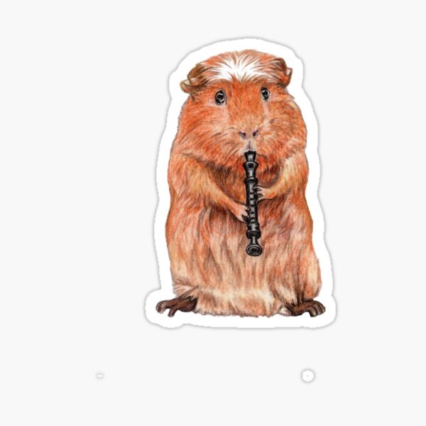"Guinea pig playing recorder" Sticker for Sale by KateMakStudio | Redbubble