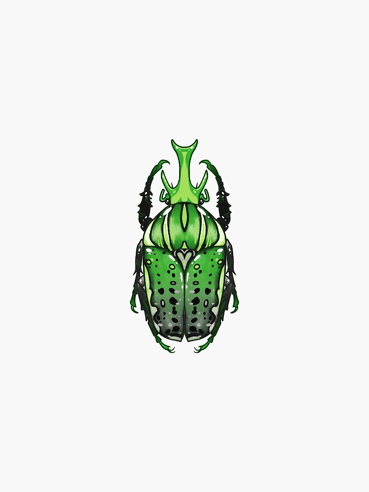 "Aromantic pride beetle" Sticker for Sale by anglerf1sh | Redbubble