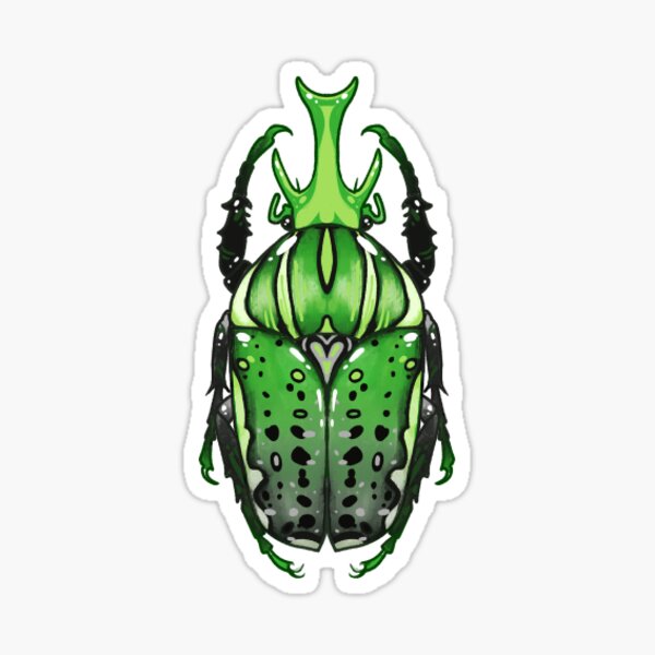 "Aromantic pride beetle" Sticker for Sale by anglerf1sh | Redbubble