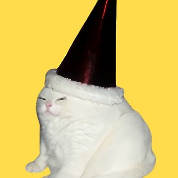 "Party Hat Cat Funny Face Meme" Photographic Print for Sale by ...