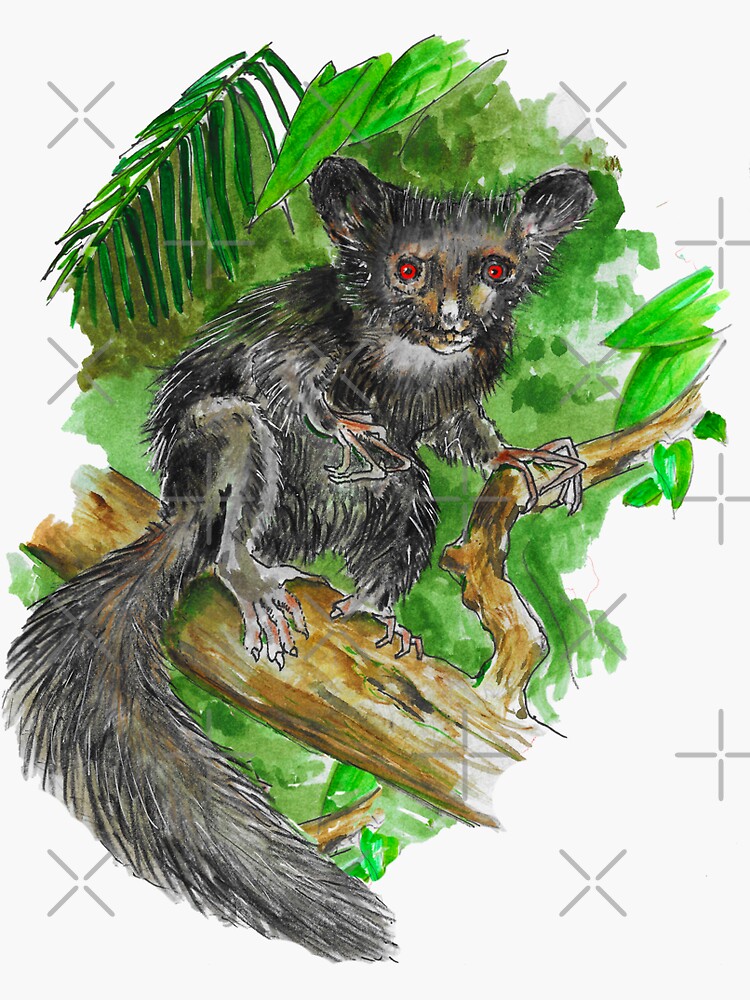 "Aye Aye product, watercolor, illustration, luxury gift art, Madagascar ...