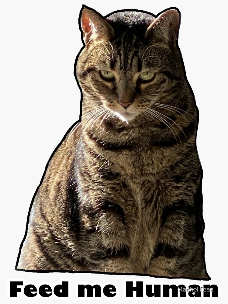 "Feed Me Human" Sticker for Sale by RachelTeaa | Redbubble