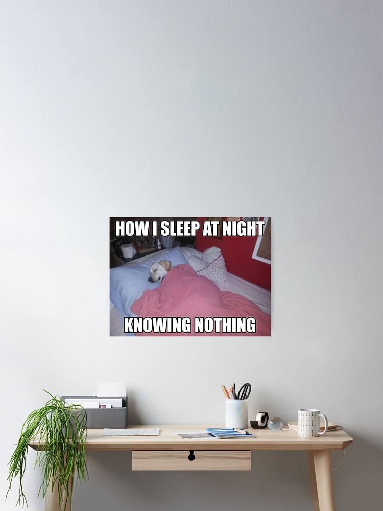 "How I Sleep at Night Knowing Nothing Meme Funny Labrador Dog in Bed ...