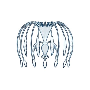 "Woodsprite" Sticker for Sale by beckahbrooks | Redbubble