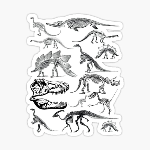 "Dinosaur Bones Fossil Design For Paleontology Student" Sticker for ...