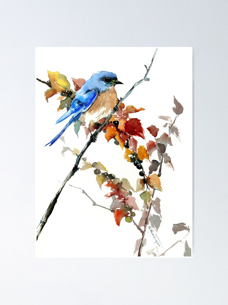 "Eastern Bluebird" Poster by surenart | Redbubble