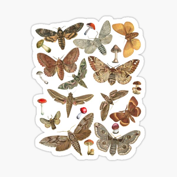 "Cottagecore Aesthetic Mushroom and Moth Goblincore Pattern" Sticker ...
