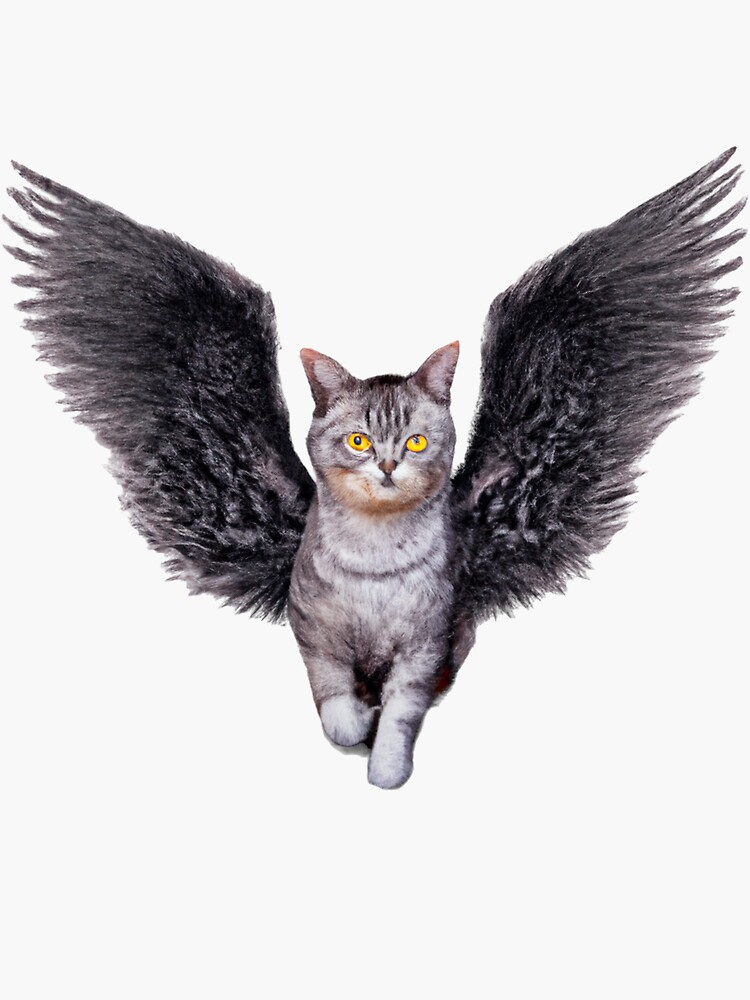 "Cute Cat with Wing" Sticker for Sale by iamamiraj | Redbubble