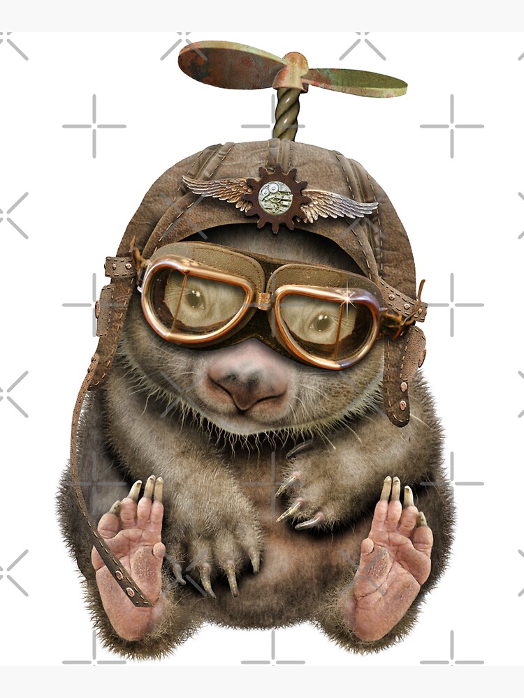 "Steampunk wombat" Tote Bag for Sale by Maxine Gadd | Redbubble