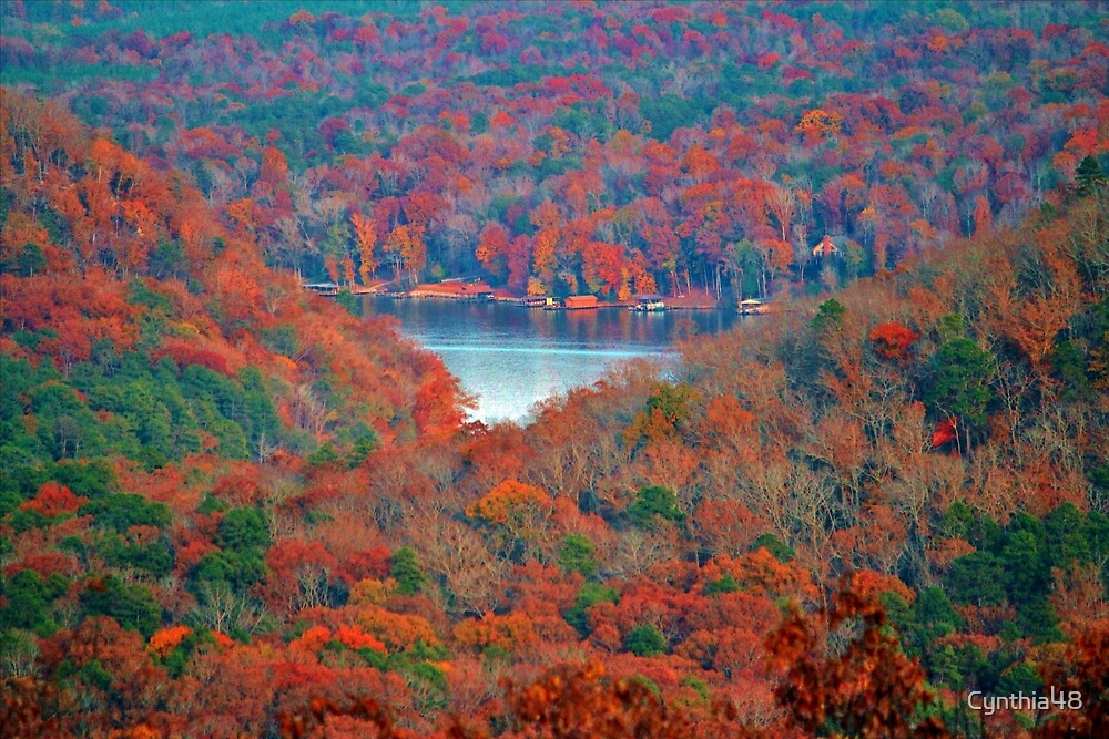 "Morrow Mountain Overlook" by Cynthia48 | Redbubble