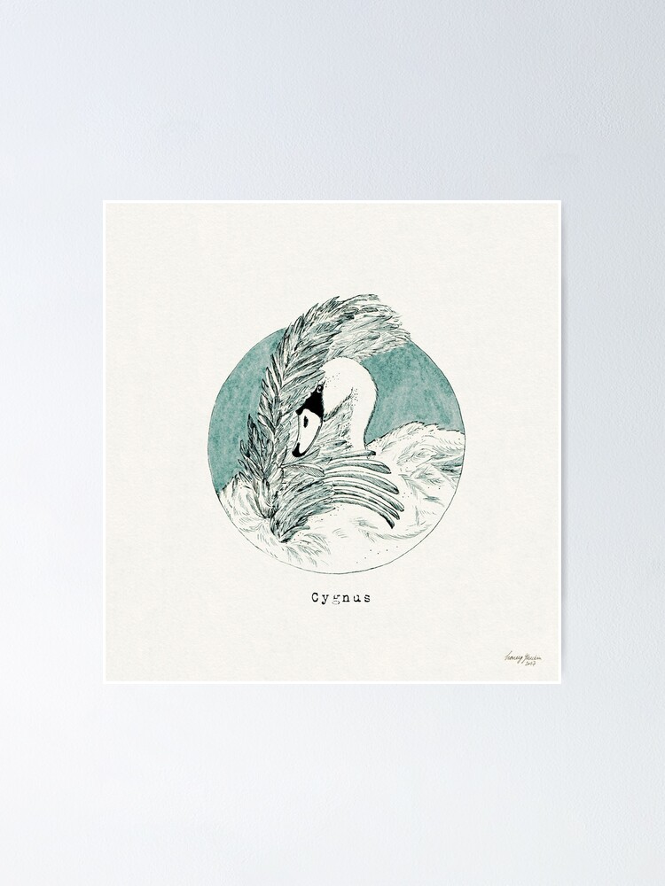 "Cygnus - swan" Poster by HoneyGherkin | Redbubble