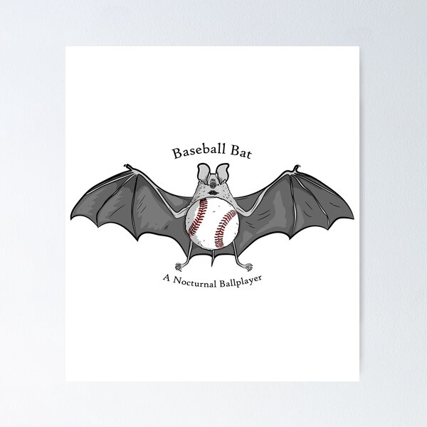 "Baseball Bat" Poster for Sale by TLDD-Designs | Redbubble