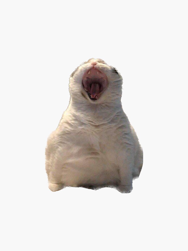 "Screaming Cat Meme" Sticker for Sale by iggi-k | Redbubble