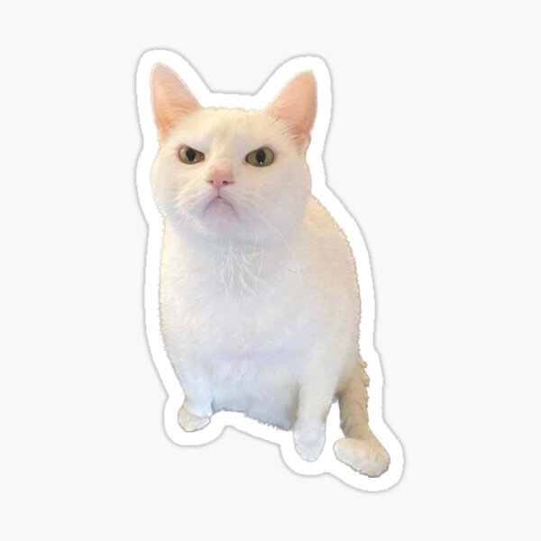 "Angry White Cat Meme" Sticker for Sale by iggi-k | Redbubble