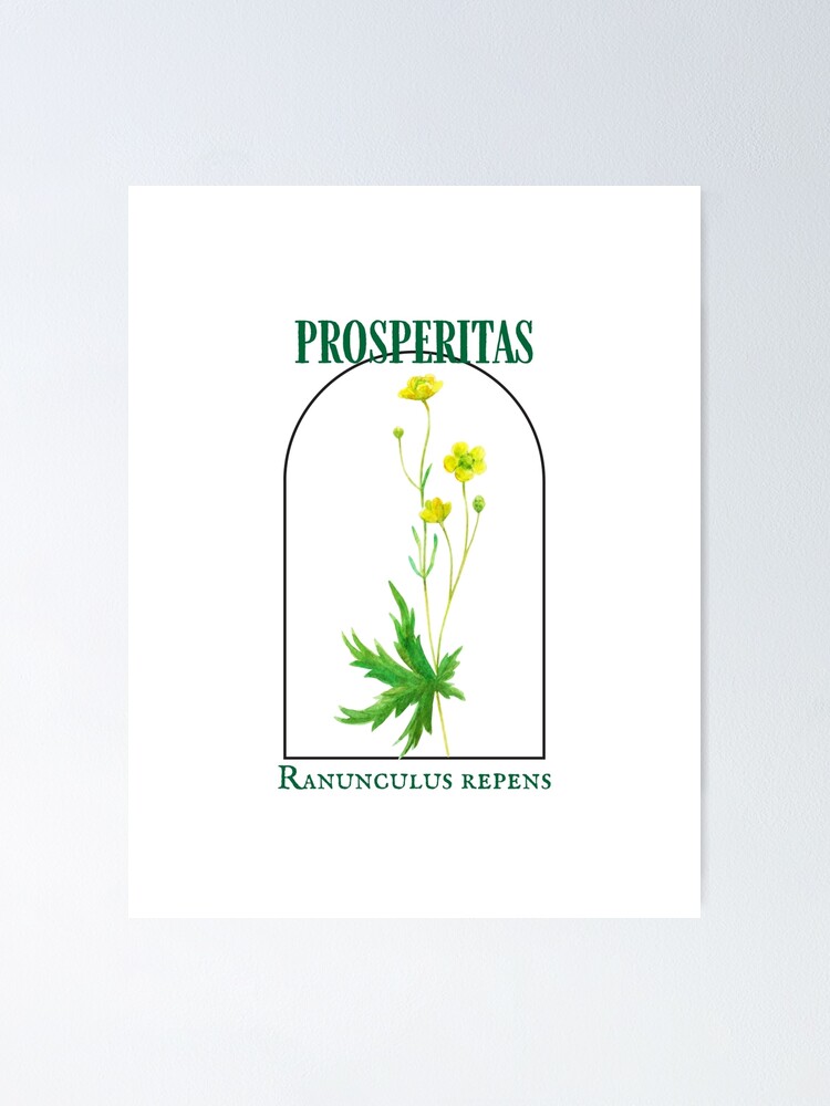 "Prosperitas - The buttercup from the Ranunculaceae family as a symbol ...