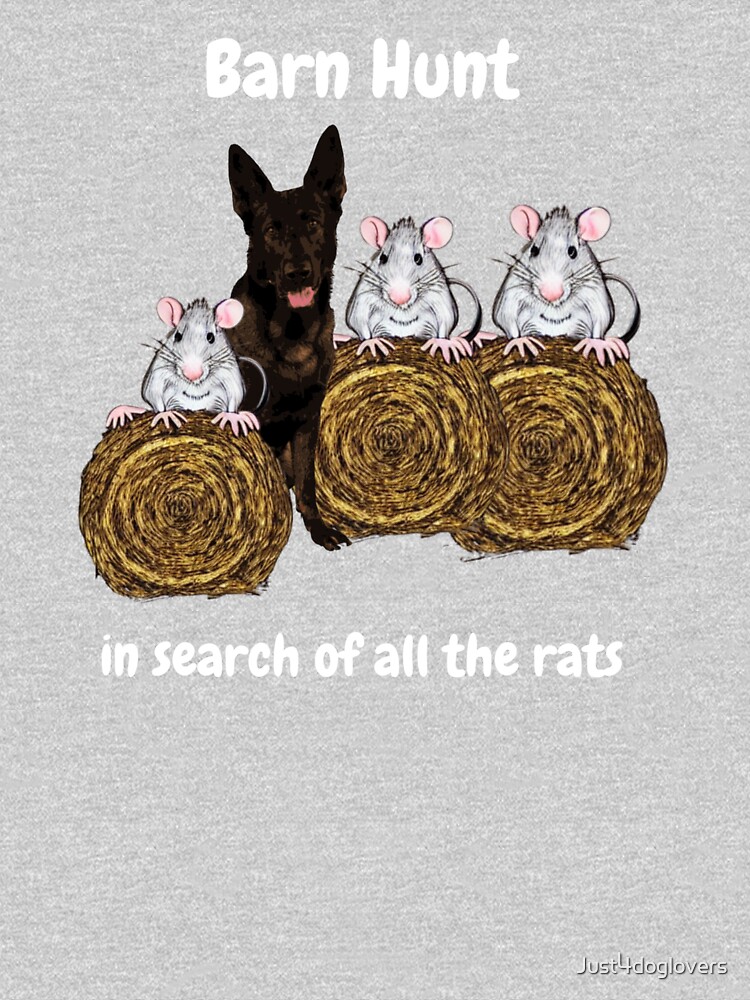 " Barn Hunt - in search of all the rats with a sable German Shepherd ...