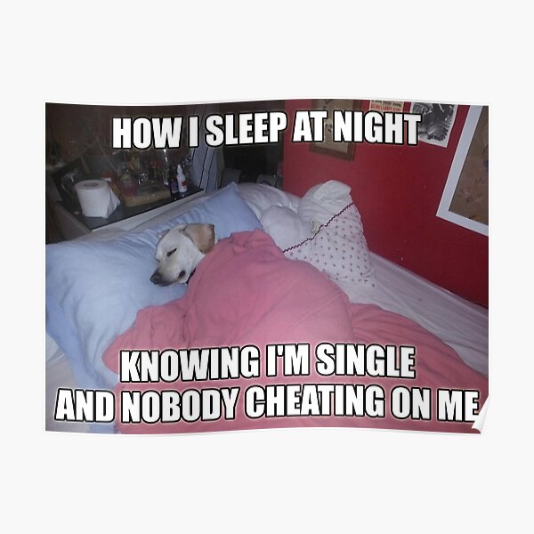 "How I Sleep at Night Knowing I'm Single Cheating Funny Meme Labrador ...