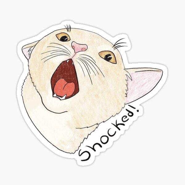"Shocked" Sticker for Sale by LittlestMonster | Redbubble