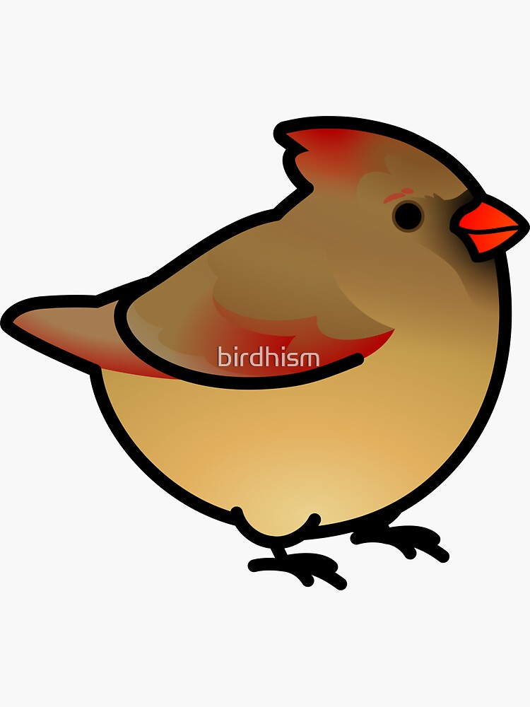 "Chubby Female Cardinal" Sticker for Sale by birdhism | Redbubble