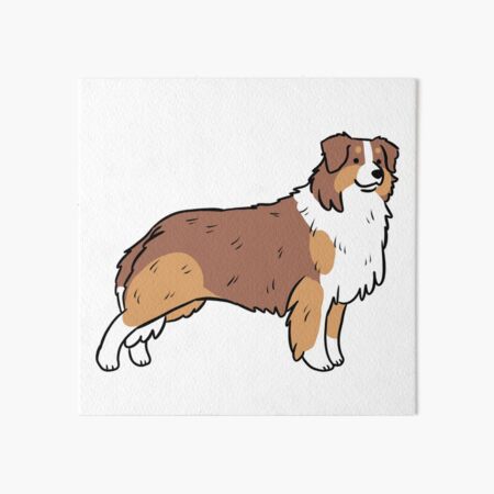 "Australian shepherd face cute illustration - red tri australian ...