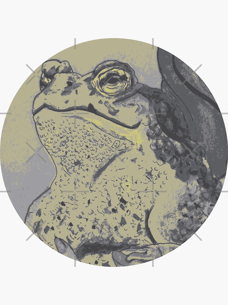 "Weathered greyscale Proud Toad " Sticker for Sale by TheRaggedQuill ...