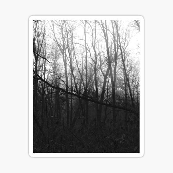 "Fog, dark forest " Sticker for Sale by antithesisw | Redbubble