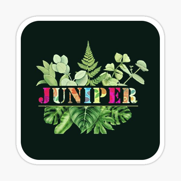 "Juniper Name" Sticker for Sale by Girl-Names-101 | Redbubble